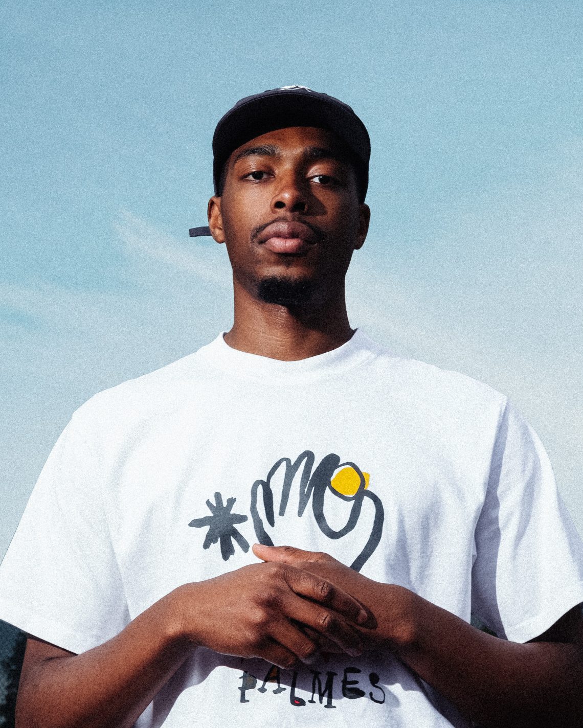 Introducing: Palmes - HIP Blog