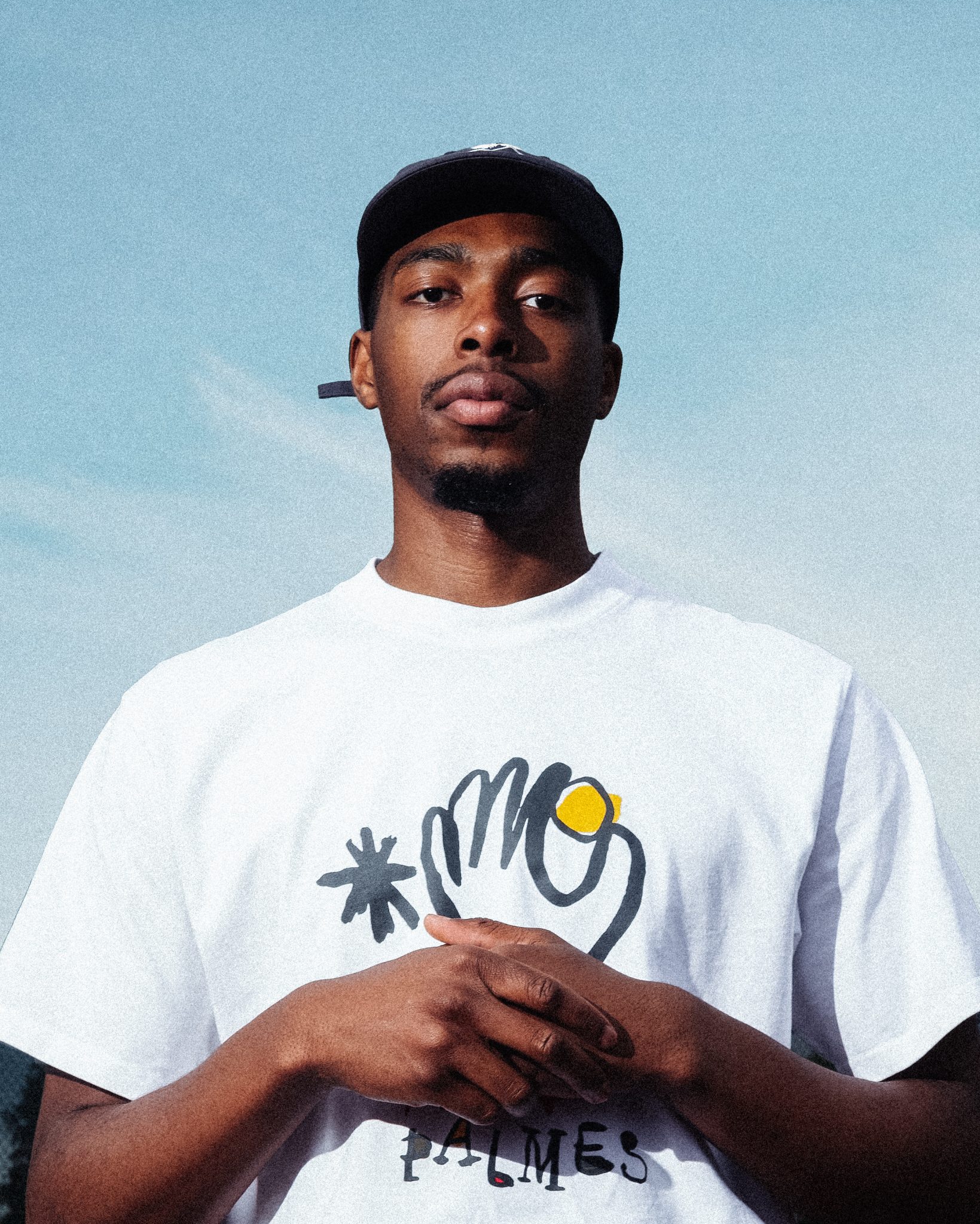 Introducing: Palmes - HIP Blog